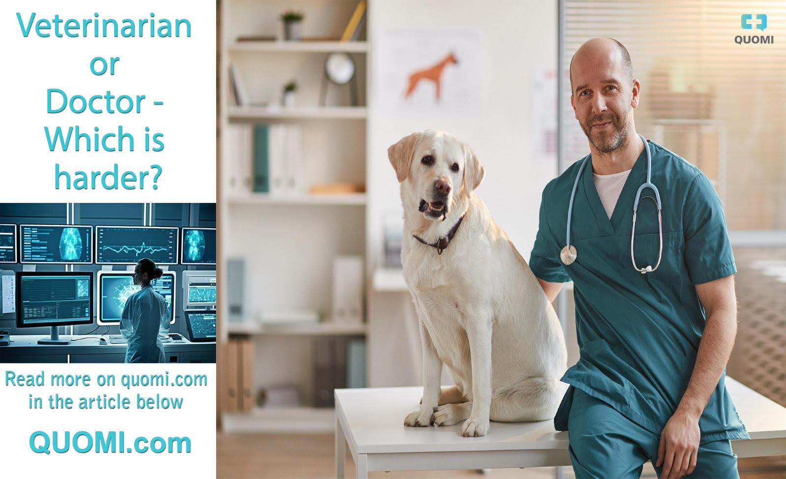 Vet or Doctor, Which is Better? (Solved & Explained) – Quomi ...