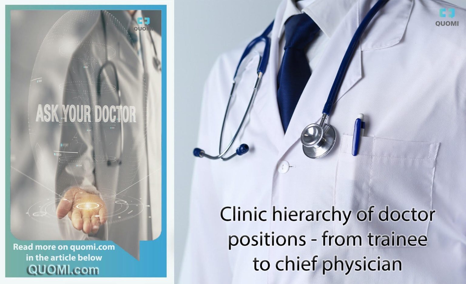 Clinic hierarchy of doctor positions – from trainee to chief physician ...
