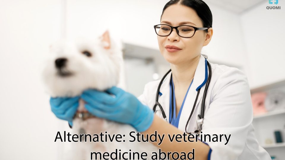 Alternative: Study veterinary medicine abroad – Quomi – Healthcare ...